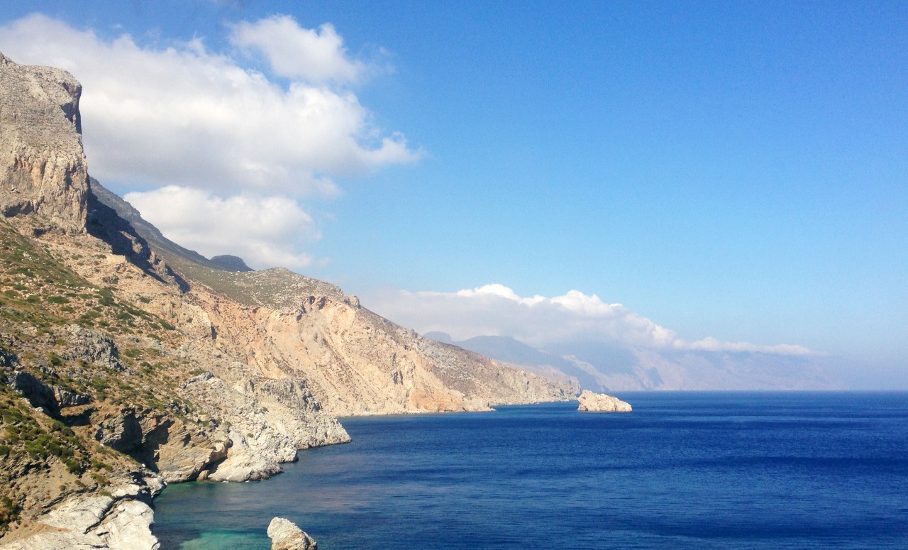 Nutscape – Vörös Fonat